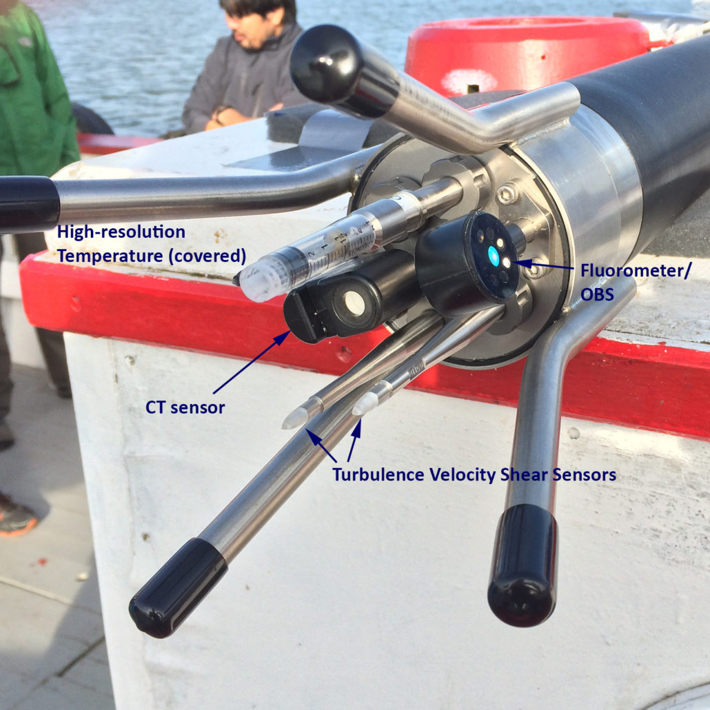 Chlorophyll-a values from CLTU-VMP-250 Nose-Mounted Fluorometer/Optical ...